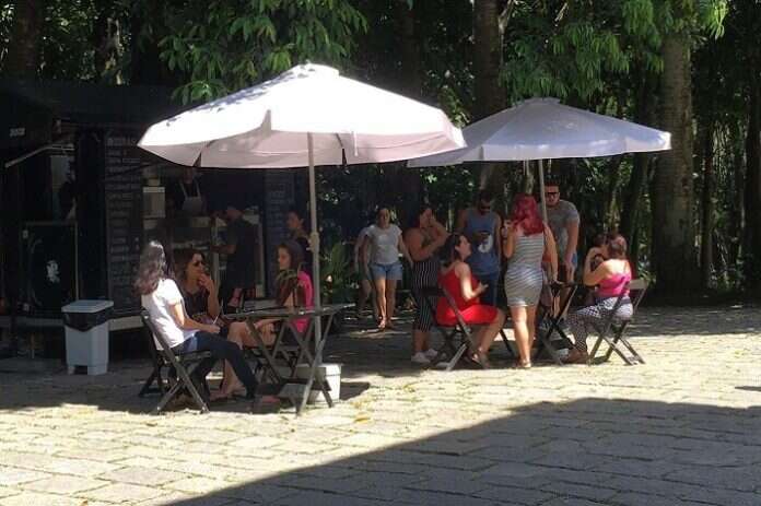 Passeio ao Parque Lage Rio: um Programa Legal - Viagens Bacanas