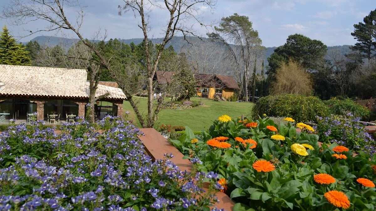 Le Jardin Parque de Lavanda: um lindíssimo jardim de flores e lavandas