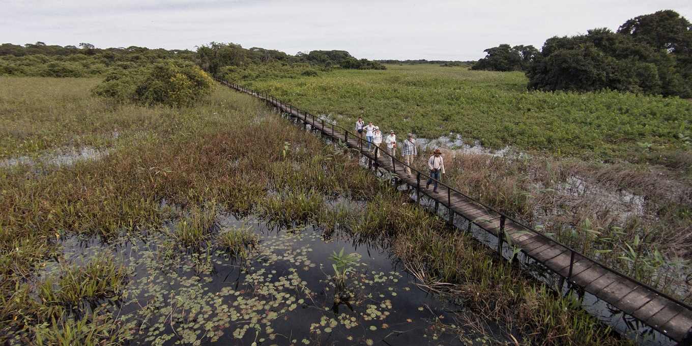 Pantanal Brasil: Explore as Maravilhas do Pantanal Norte e Sul