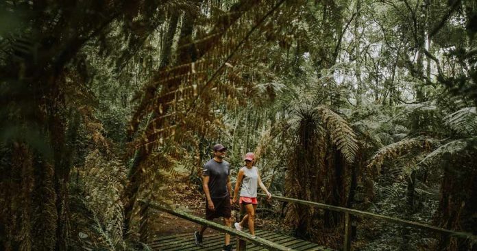 Roots Resort um refúgio natural na charmosa Monte Verde